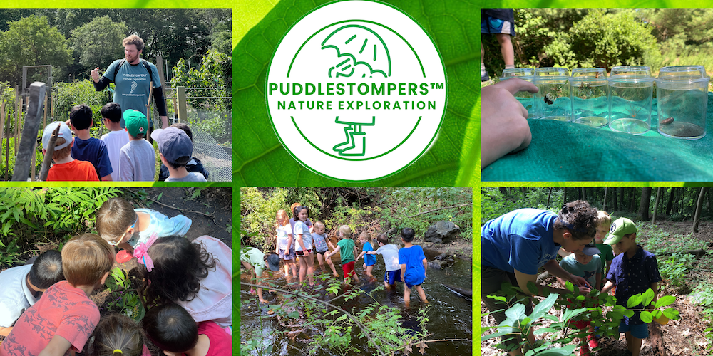 Every Summer Camp near Newton and Needham, MA